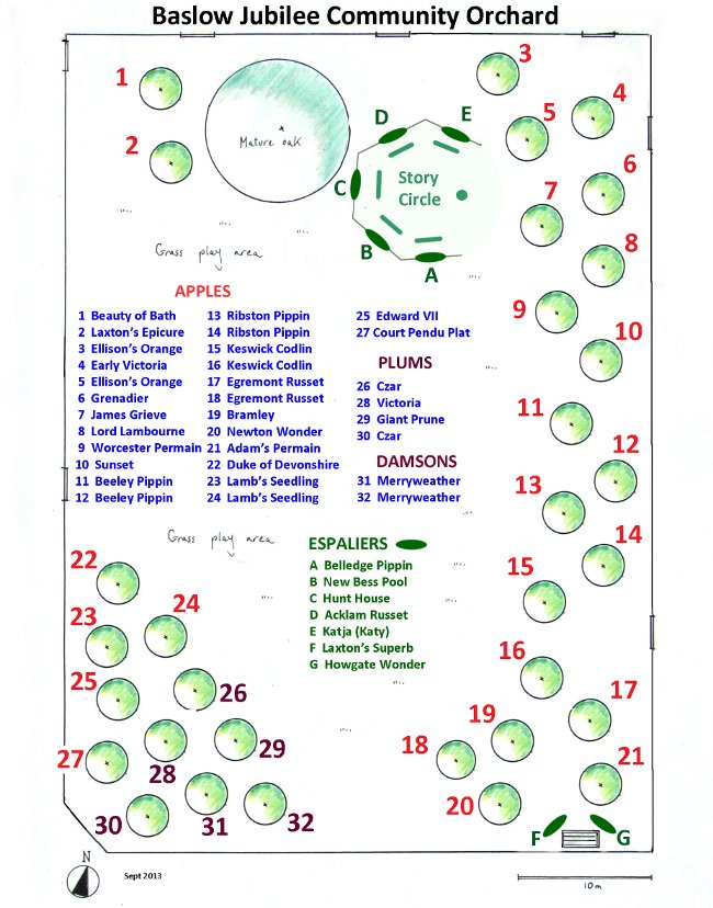 Orchard_Plan_Oct13_small – Baslow Jubilee Community Orchard